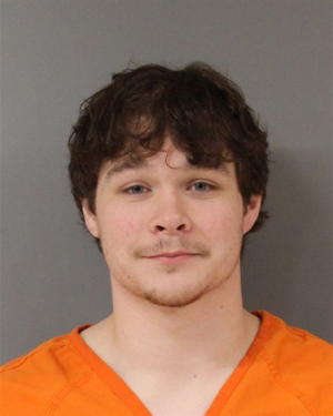 Inmate Roster - Current Inmates Booking Date Descending - Blount County ...